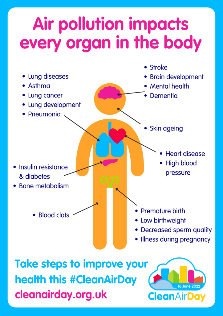 National Clean Air Day 2022: How Impervia Reduces Air Pollution